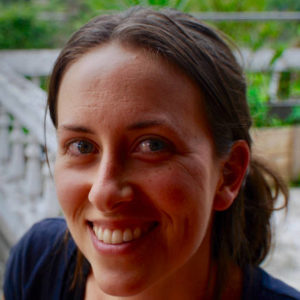 CHOQ Supplements Review