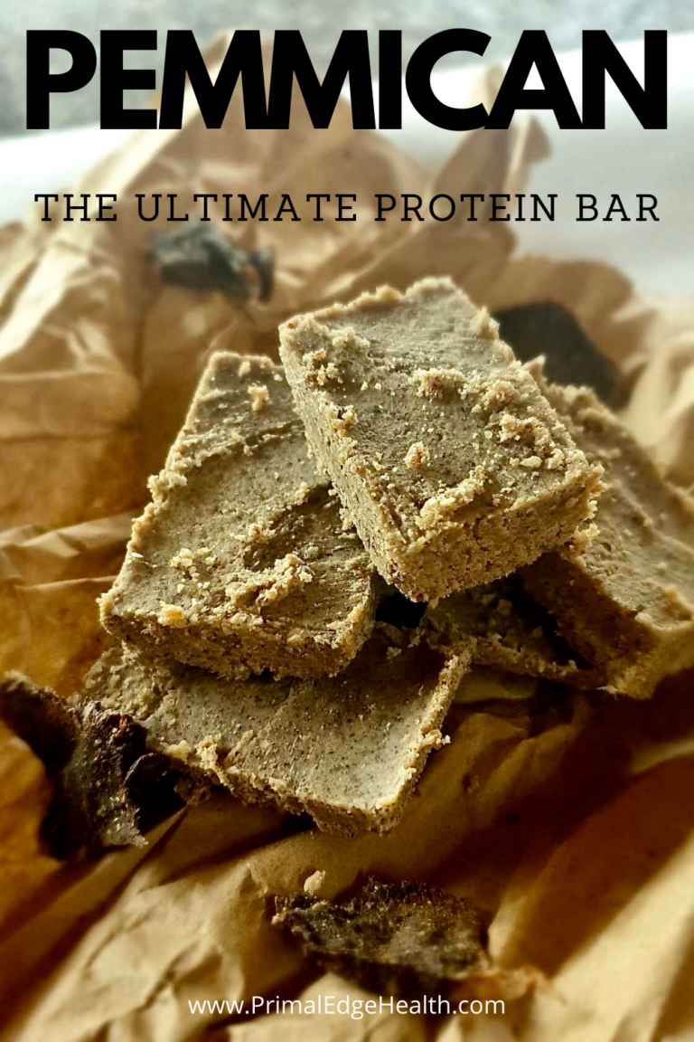 Pemmican Recipe