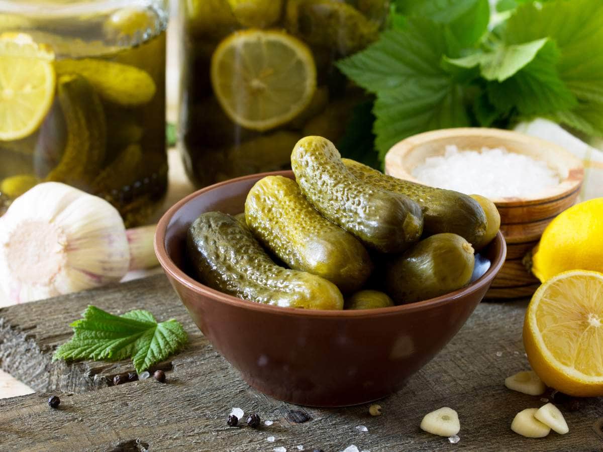 Dive Into the Tangy World of Fermented Pickles at Your Fingertips
