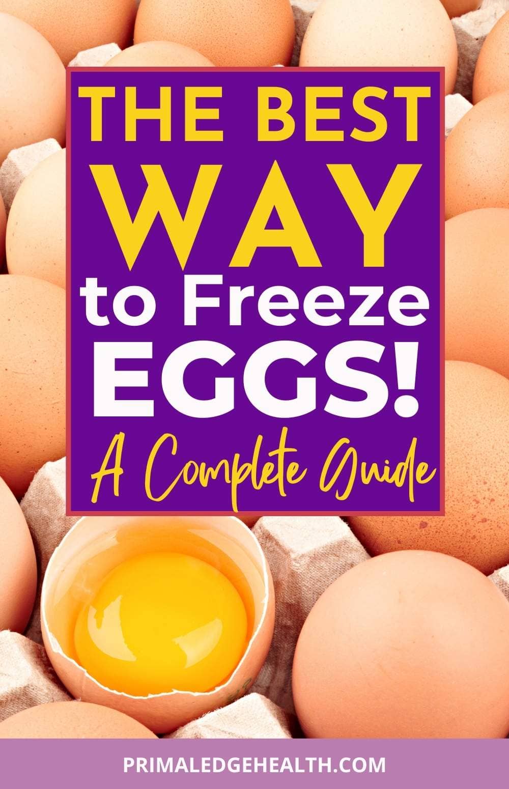 The Ultimate Guide to Freezing Eggs: Tips and Tricks