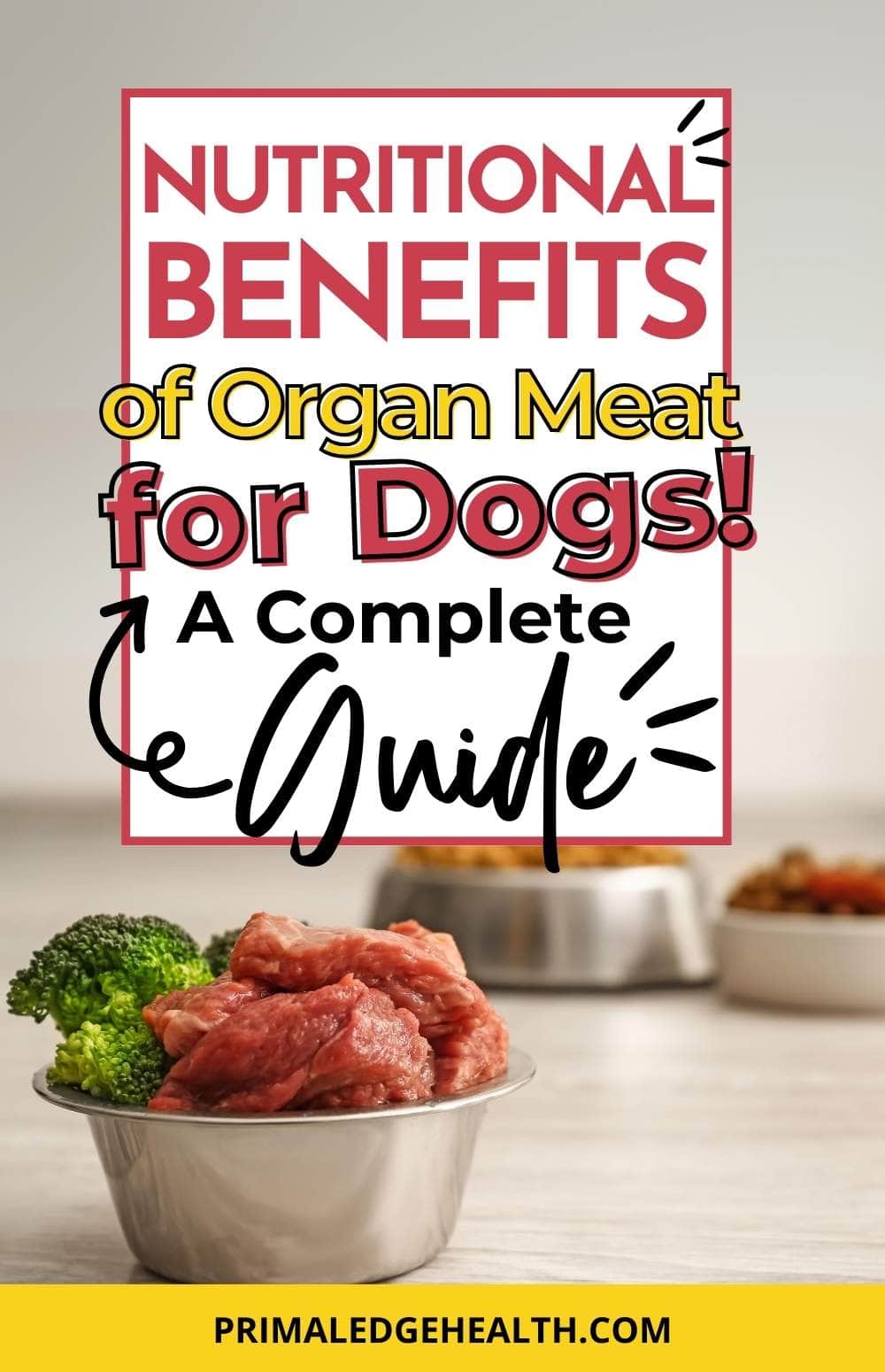 How Organ Meat for Dogs Can Lead to a Happier, Healthier Pup