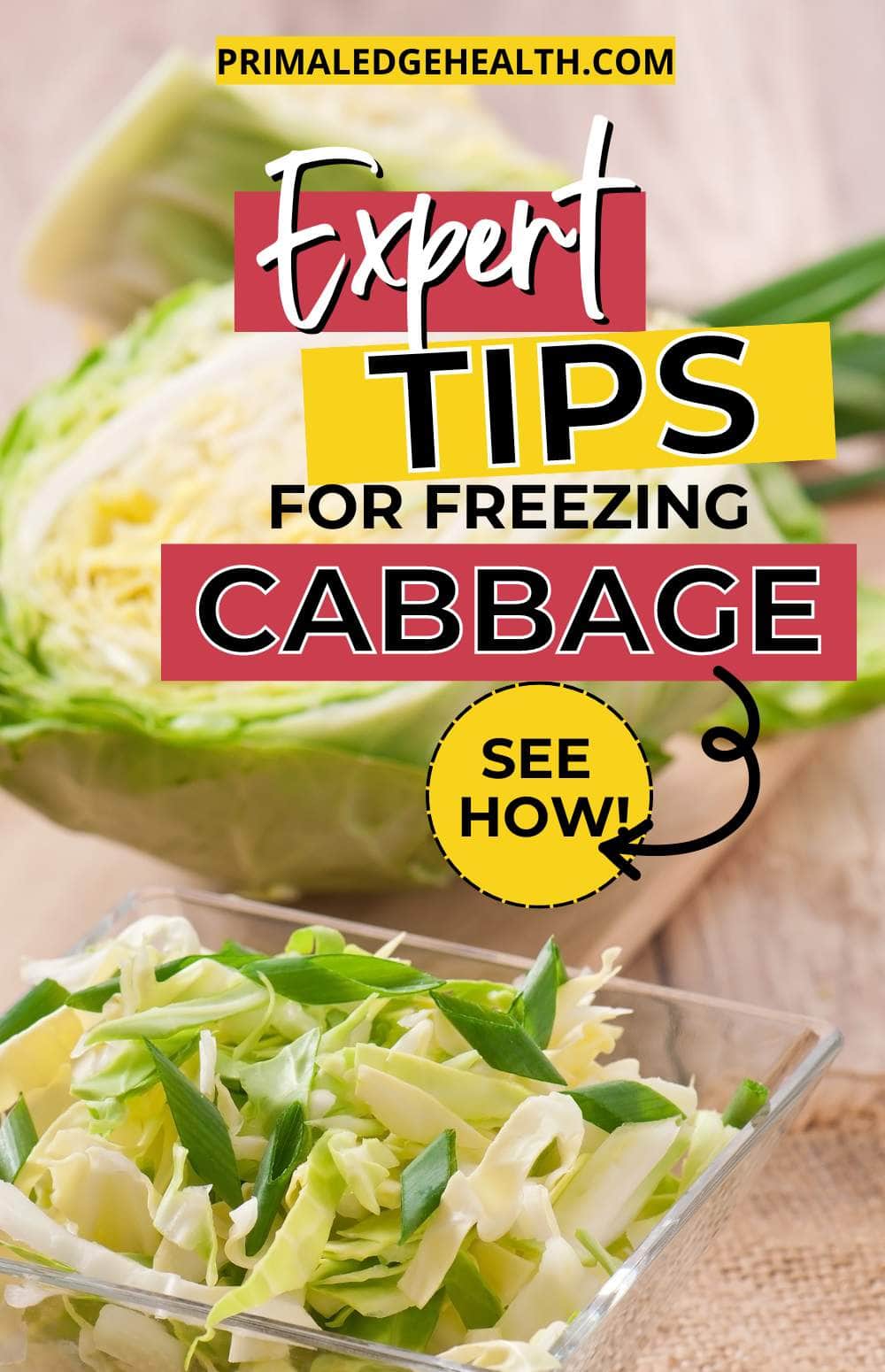 Can You Freeze Cabbage? Yes, and Here’s How To Do It Right