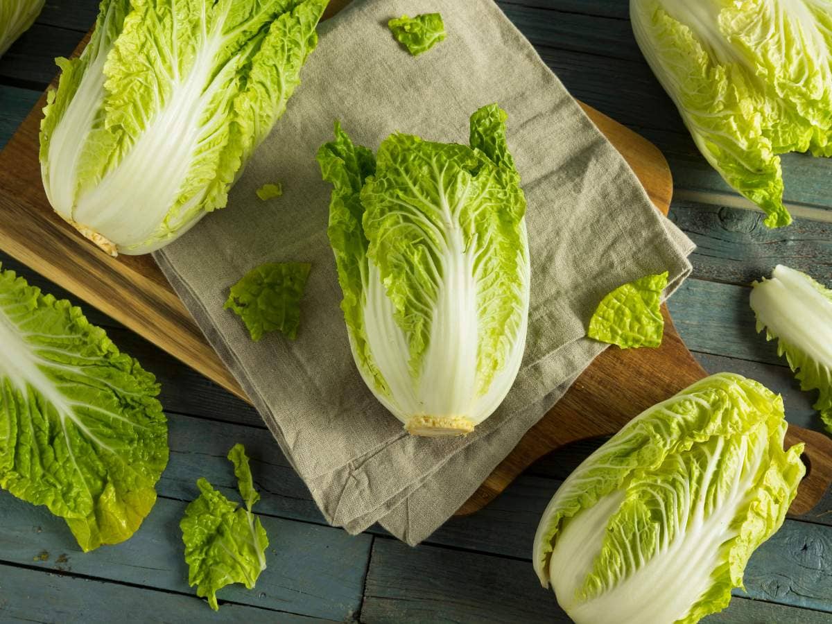 Crazy for Crucifers: Exploring the Different Types of Cabbage