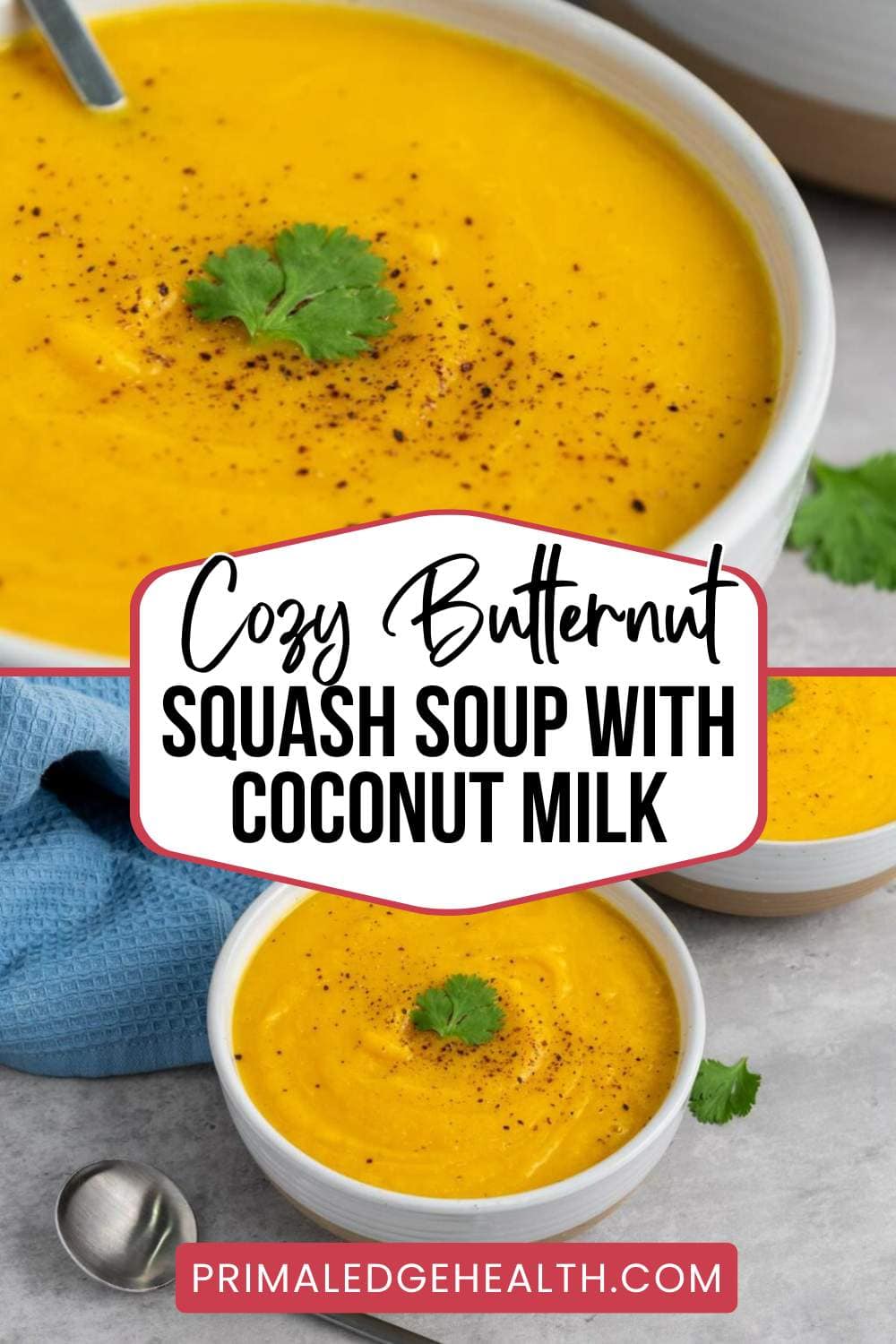 Slow Cooker Butternut Squash Soup With Coconut Milk