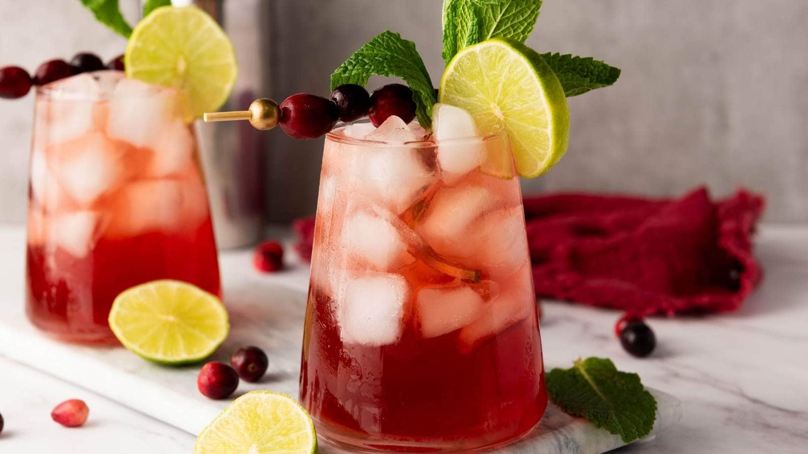 Quick Cranberry Mocktail Recipe (Only 5 Minutes)